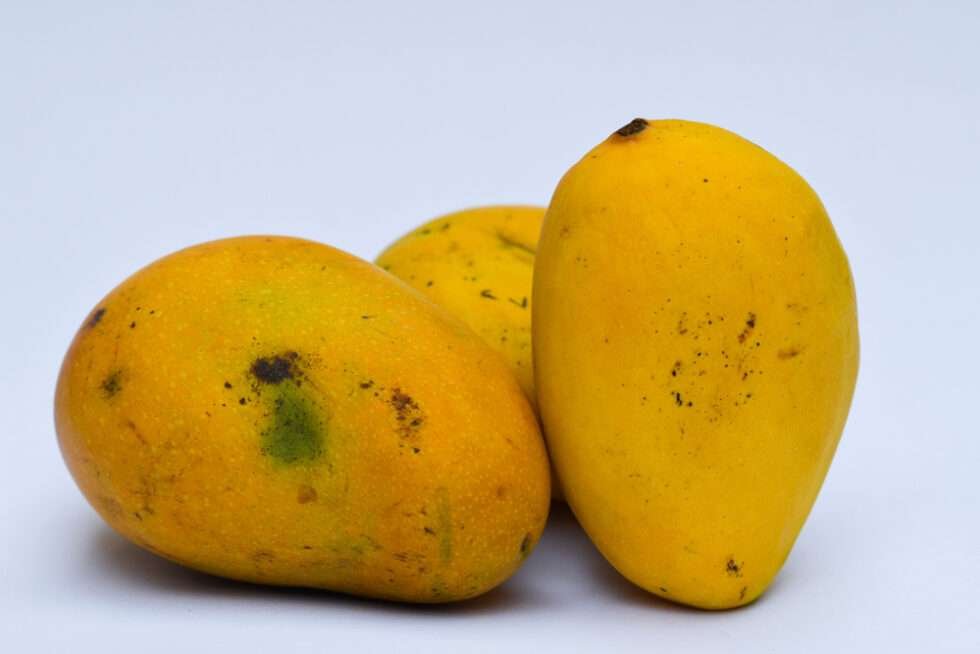 Small Mango - Welcome To Zambia